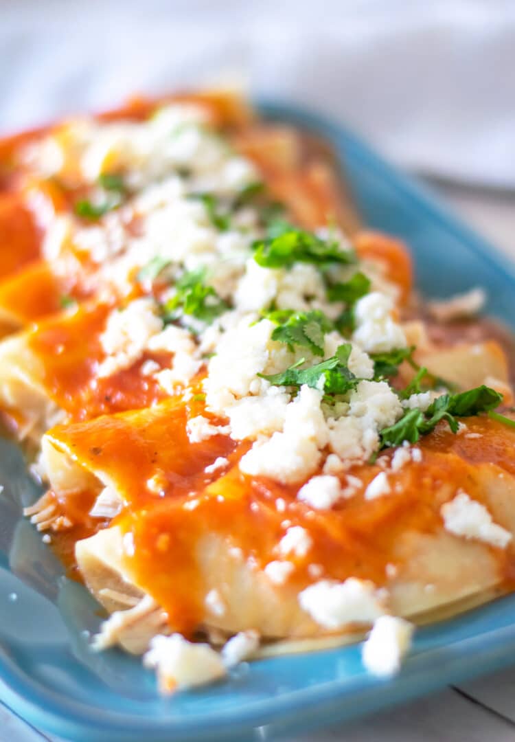 Entomatadas de Pollo (Chicken Entomatdas) - Thrift and Spice