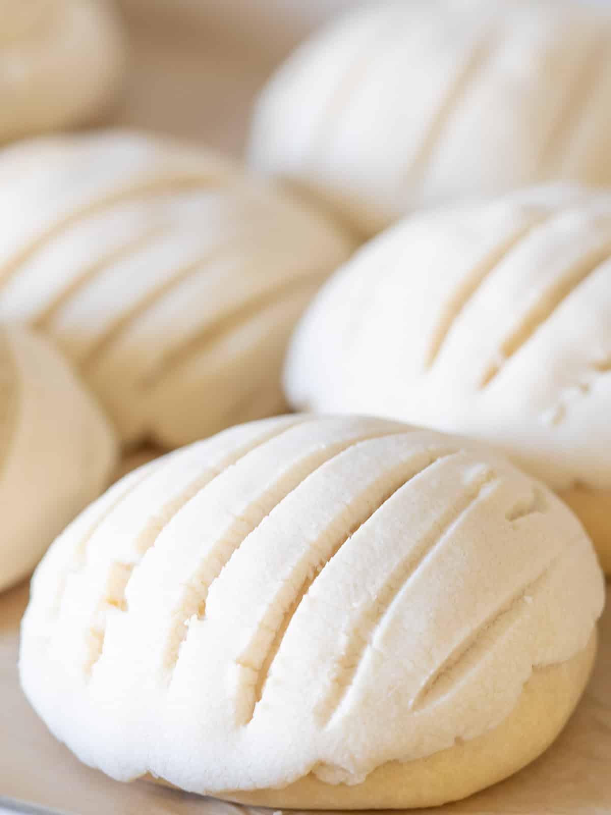 Homemade Conchas Recipe (Mexican Sweet Bread / Pan Dulce)