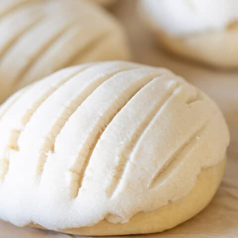 Homemade Conchas Recipe (Mexican Sweet Bread / Pan Dulce)